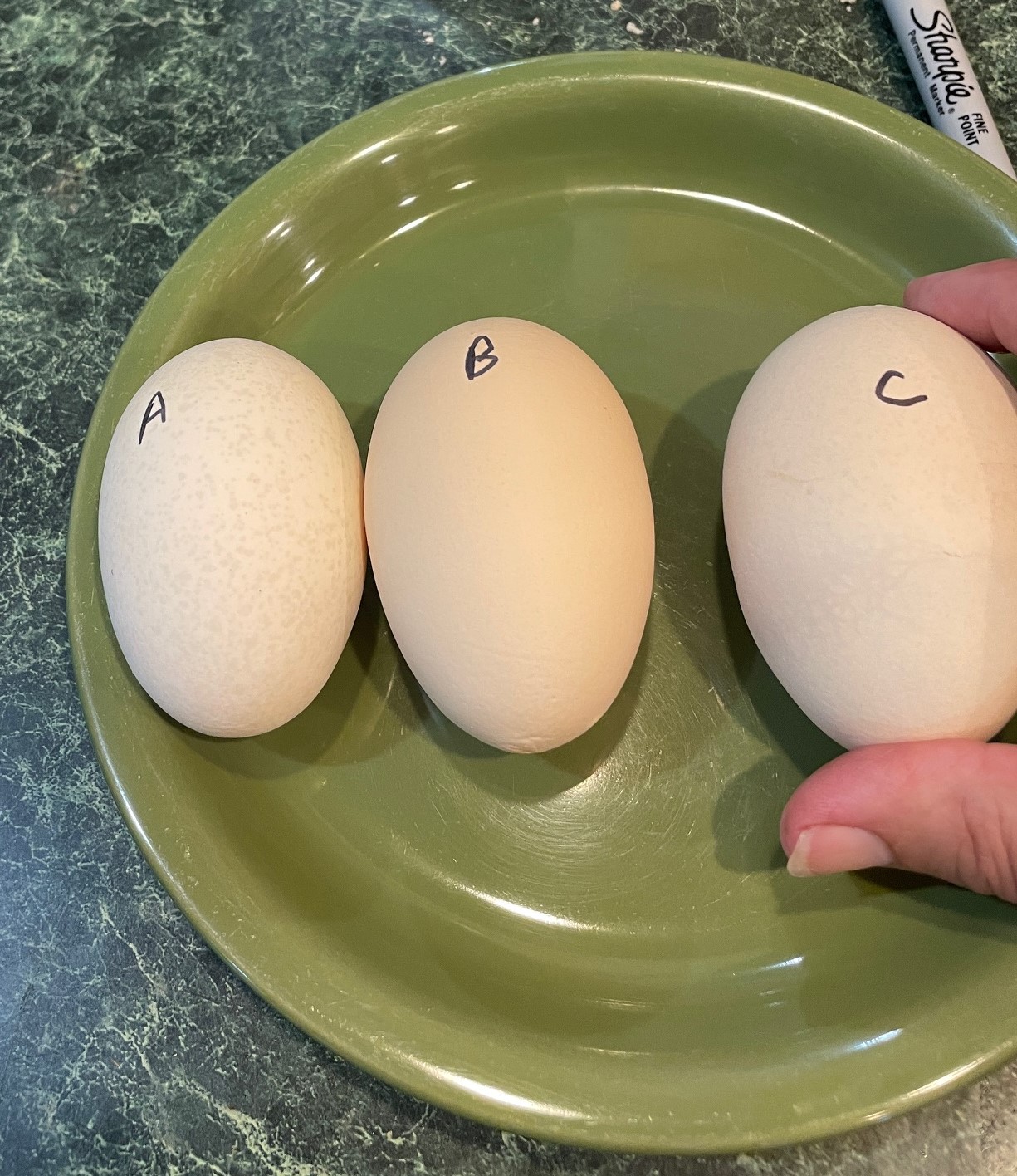 Giant Eggs: How big was that hen? - Cedar Ridge Farm - Pendleton SC